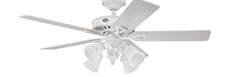 Hunter Ceiling Fans